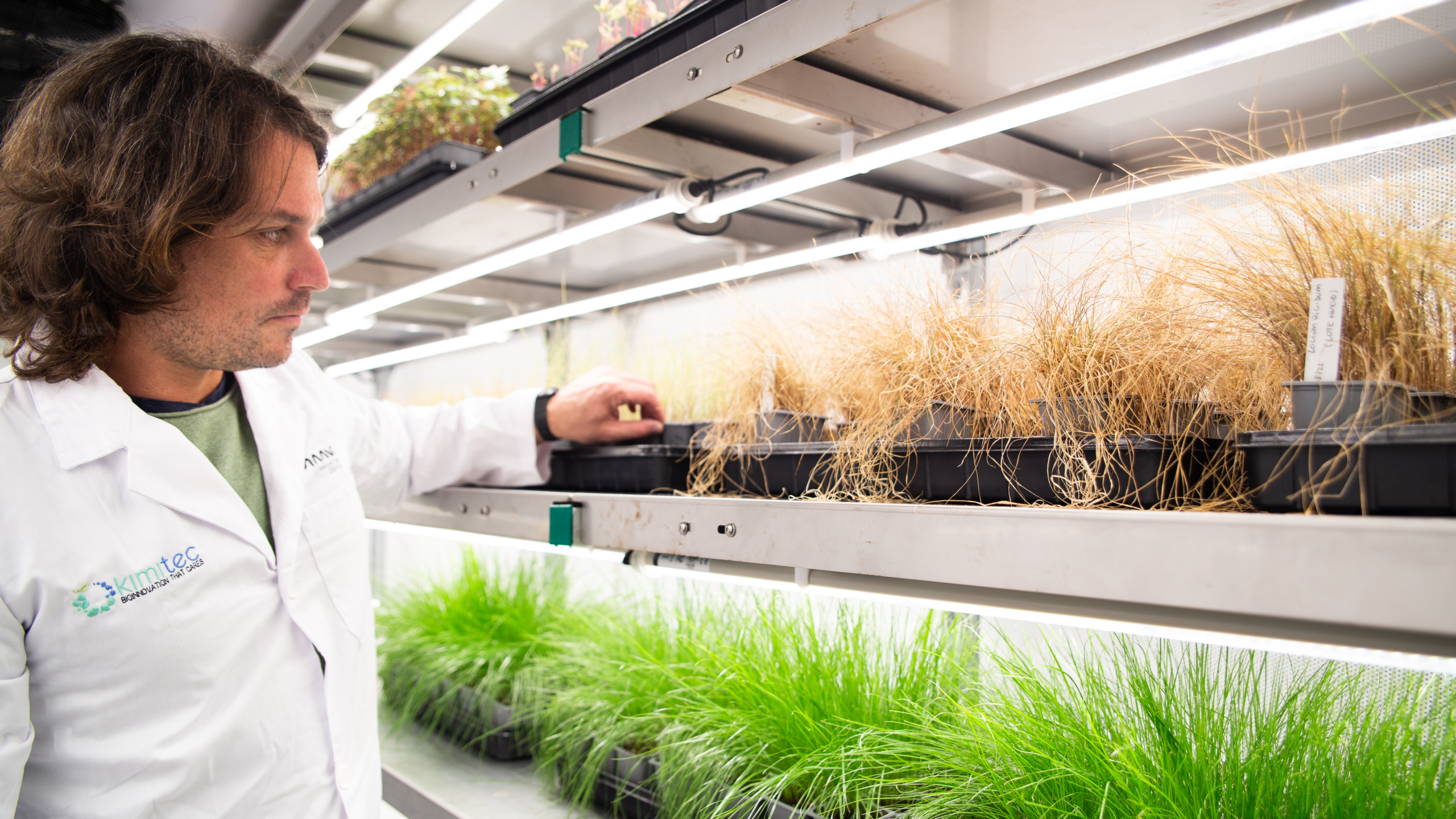 Kimitec recibe el quinto proyecto Horizonte Europa para desarrollar un ...