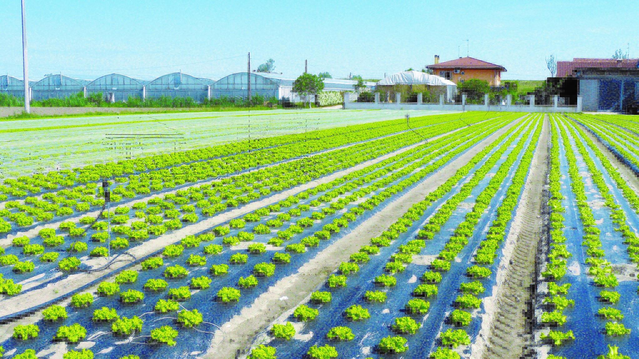 La biodegradabilidad en el suelo, una solución para simplificar la ...