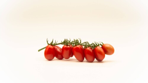 Top Seeds International launches Fanello, its first mini-plum tomato