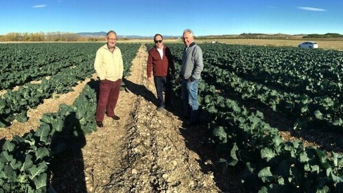 FMC Agricultural Solutions obtiene autorización para sus insecticidas ...