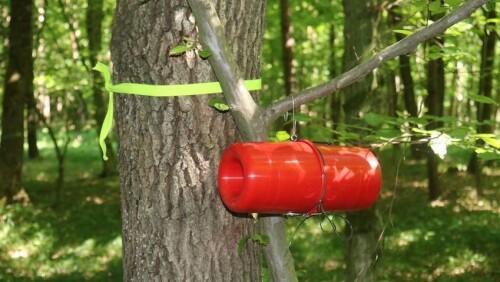 AIMPLAS works on the development of smart traps and pheromones for an ...