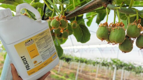FOLICIST, el bioestimulante que potencia la rentabilidad en frutales y ...