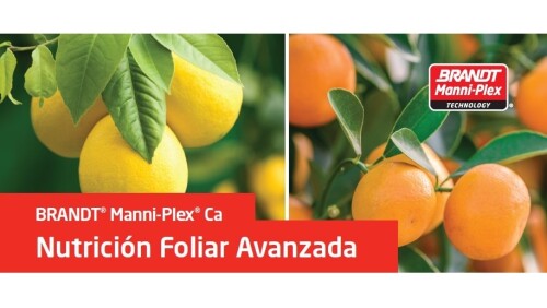 Asegura el calcio para tu cultivo con Manni-Plex Ca de BRANDT