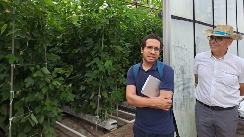 Proyecto Magtech: Cultivo hidropónico de algodón alta calidad con agua ...
