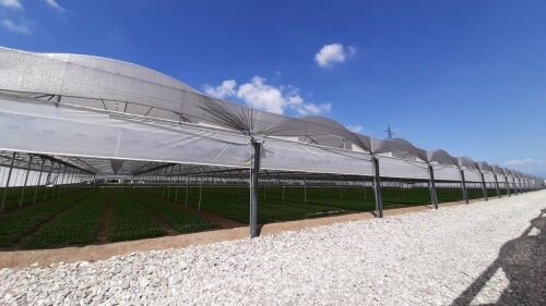 Protege tus cultivos del verano con AGRIFRESH: Mayor producción y ...