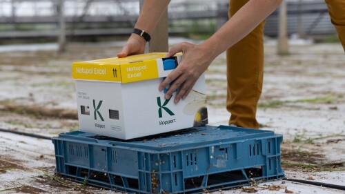 Las colmenas Natupol de Koppert, menos plástico y mejor rendimiento con ...